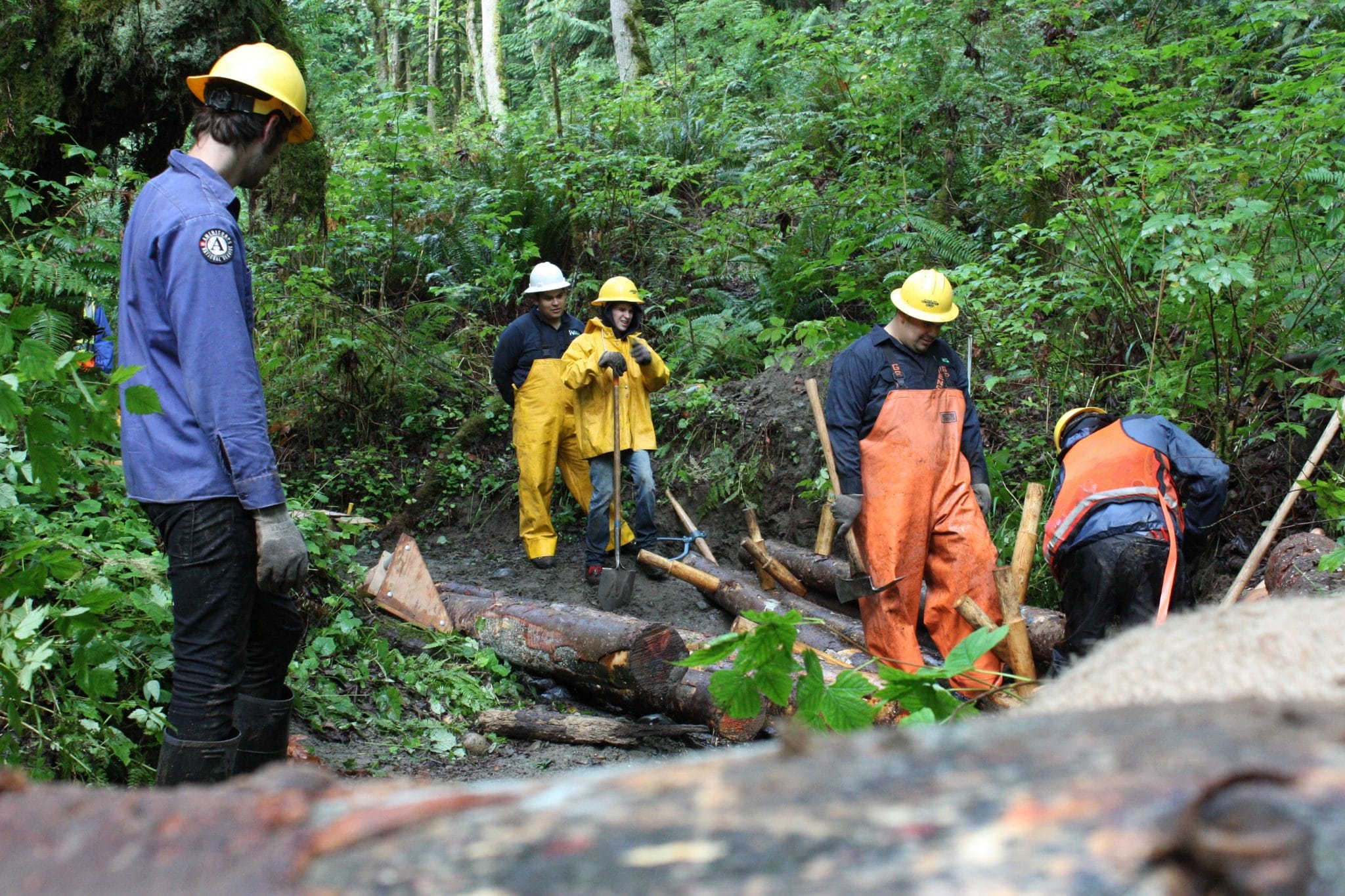 Engineered Large Woody Debris for Aquatic, Riparian and Upland Habitat ...